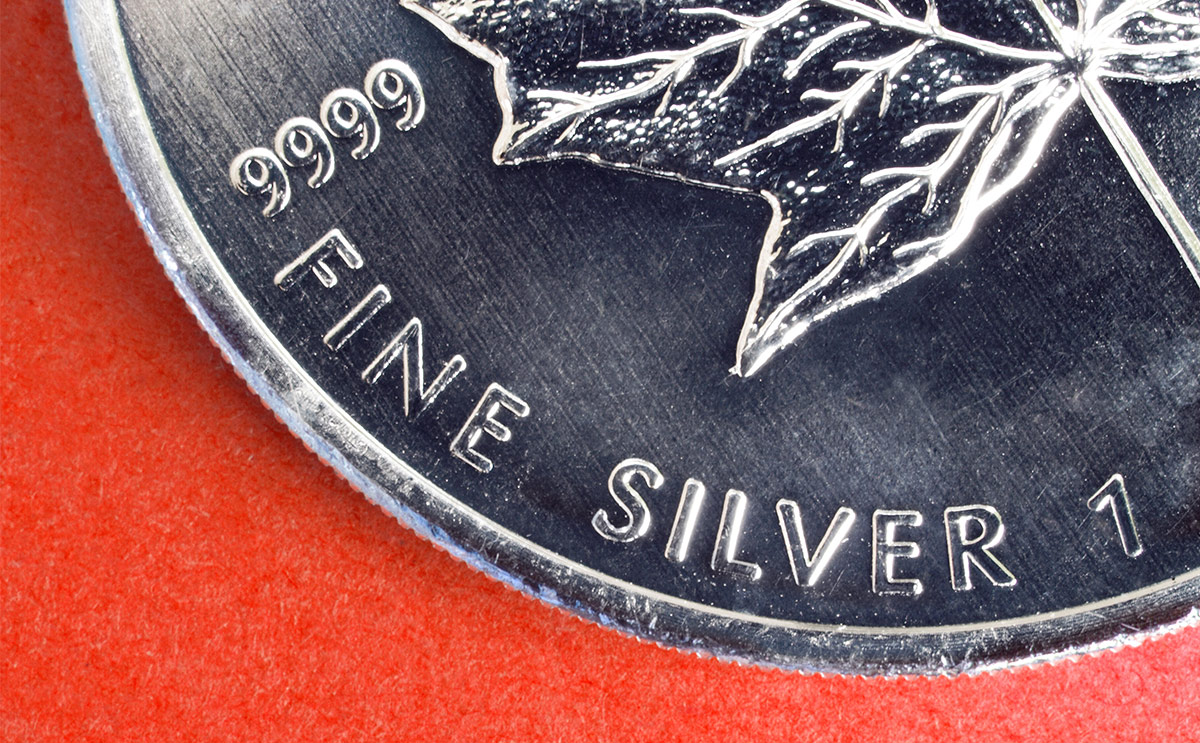 Dolly Varden is Still Silver – Ahead of the Herd