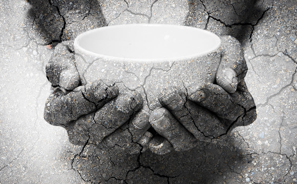 If it can’t be grown it must be mined – Part 2 – Ahead of the Herd