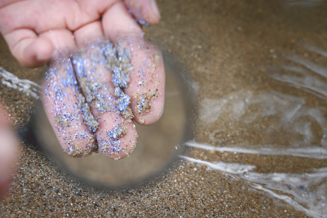 Microplastics found in farm animals for the first time; Evanesce ...