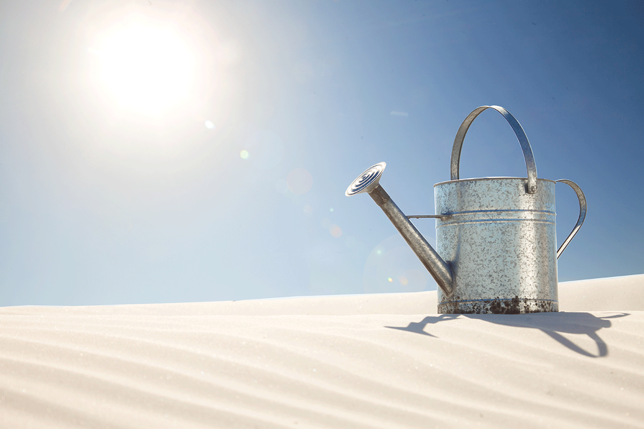 Earth’s storage of water in soil, lakes and rivers is dwindling. And it ...