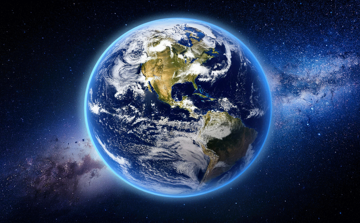 An ancient tree revealed the tale of Earth’s magnetic field reversal ...