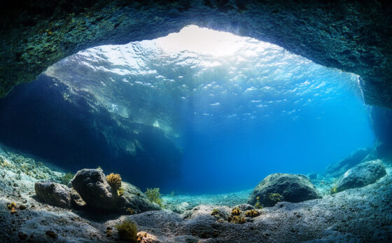 Two prehistoric sea monsters found after 325 million years in the world ...