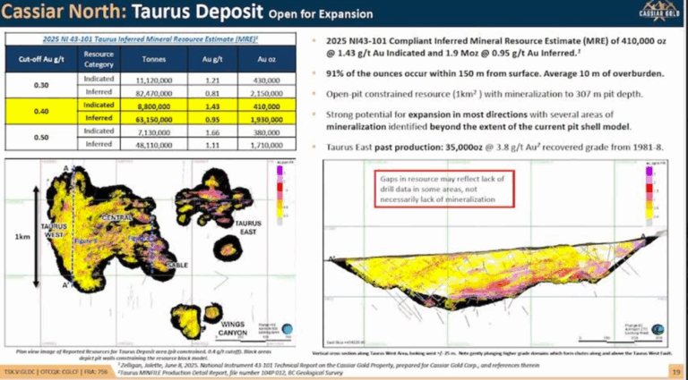 Cassiar Gold: An undervalued gold play in northern BC with substantial ...