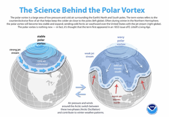 Polar vortex breakdown unleashes massive winter storm affecting two ...