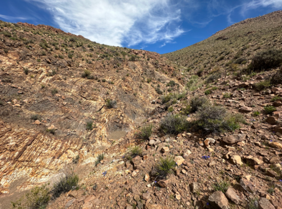 Orestone to drill Francisa Gold-Silver Project, Argentina – Richard ...